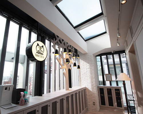 Neko Cafe MoCHA Shibuya (1) - Mushroom Travel