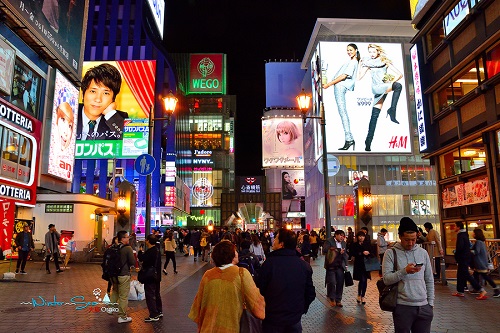 nxhwxngpwDbz7vLsBbz-o - Mushroom Travel