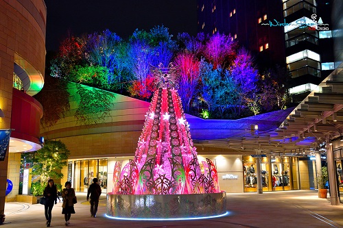 nxhxgvxyjKHmW1OMyr1-o - Mushroom Travel