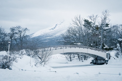 Onuma Park (1) - Mushroom Travel