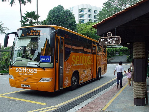 sentosa-bus - Mushroom Travel