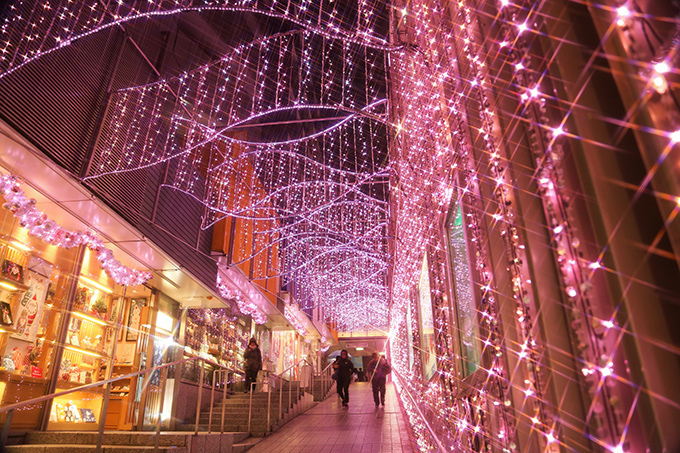 qVM - Mushroom Travel