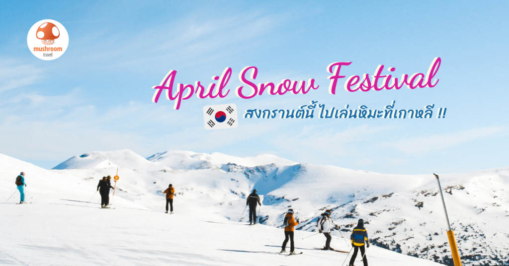 April Snow เทศกาล หิมะเดือนเมษา สงกรานต์นี้เที่ยวเกาหลี! - Mushroom Travel