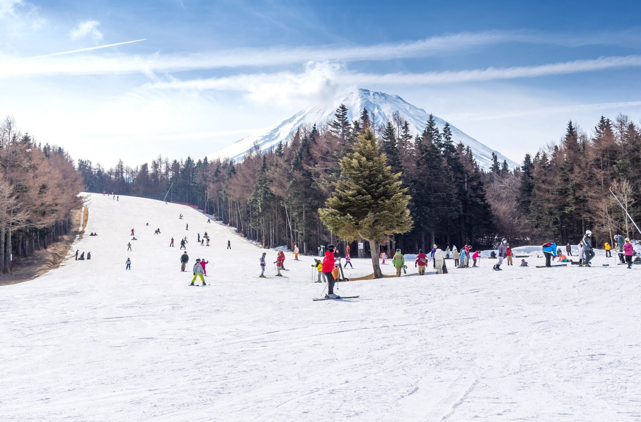 Fujiten - Getty Images - Mushroom Travel