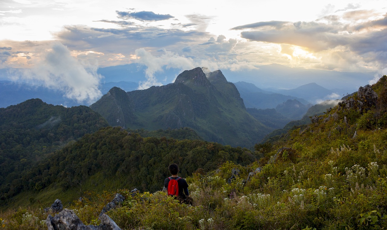 3 pixabay - Mushroom Travel